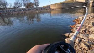 Carlyle Lake Fishing Tips - What You Need to Know Before You Go ...