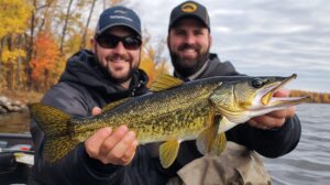 Best Tactics for Catching Walleye During the Fall Migration - Illinois ...